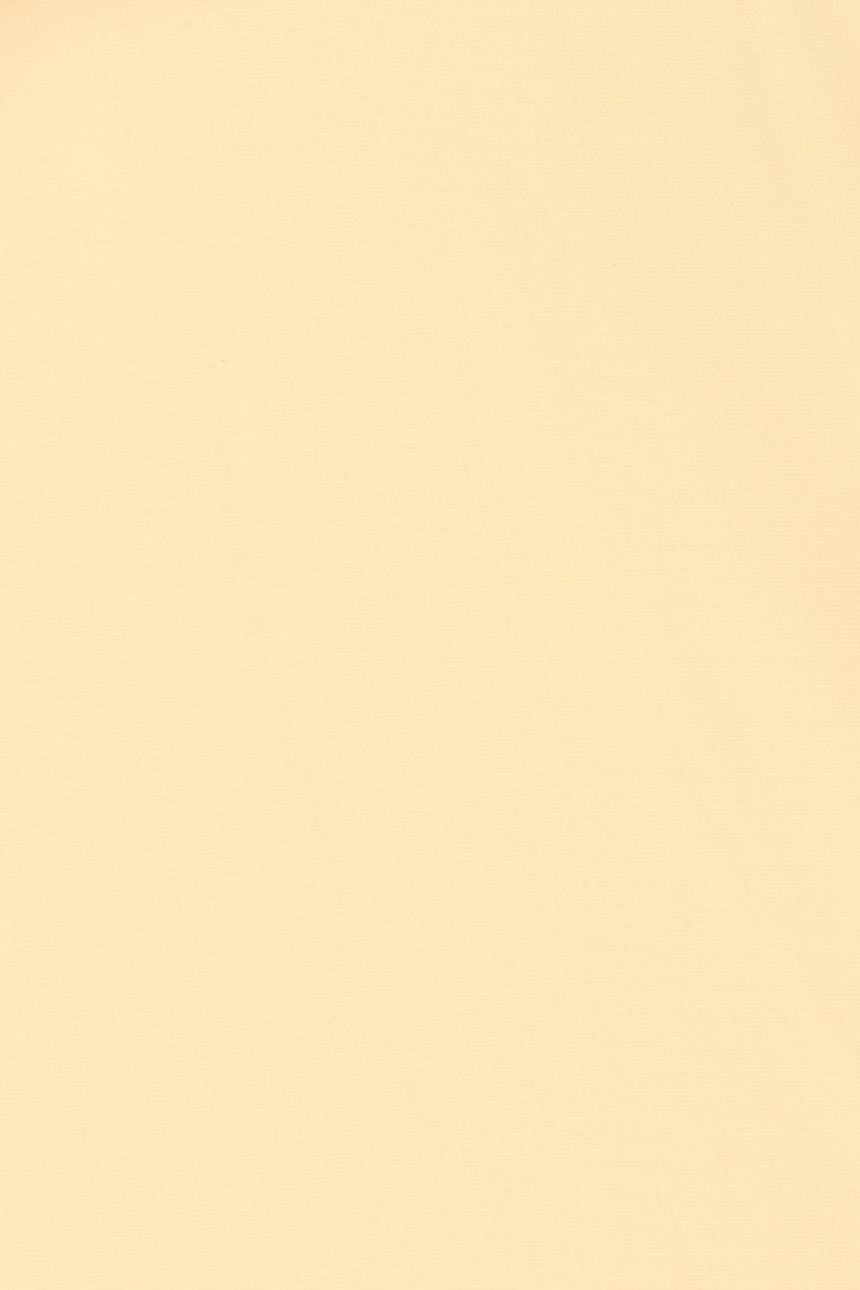 Andez Bikini Bottom Buttermilk - Faithfull the Brand INT